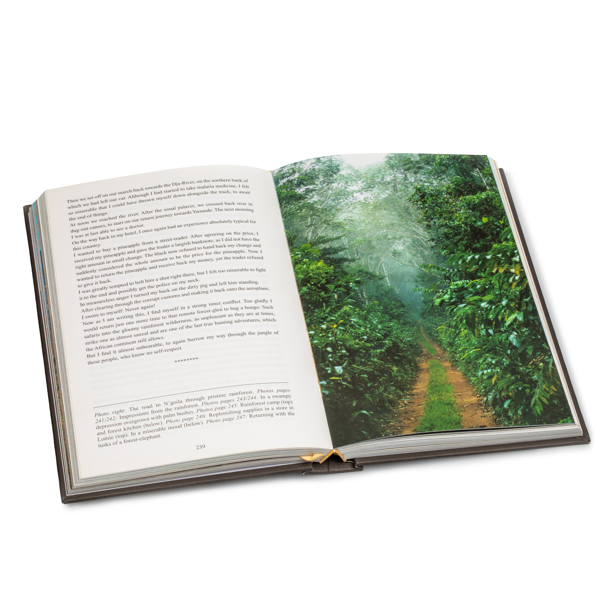 Along the Hunter's Path