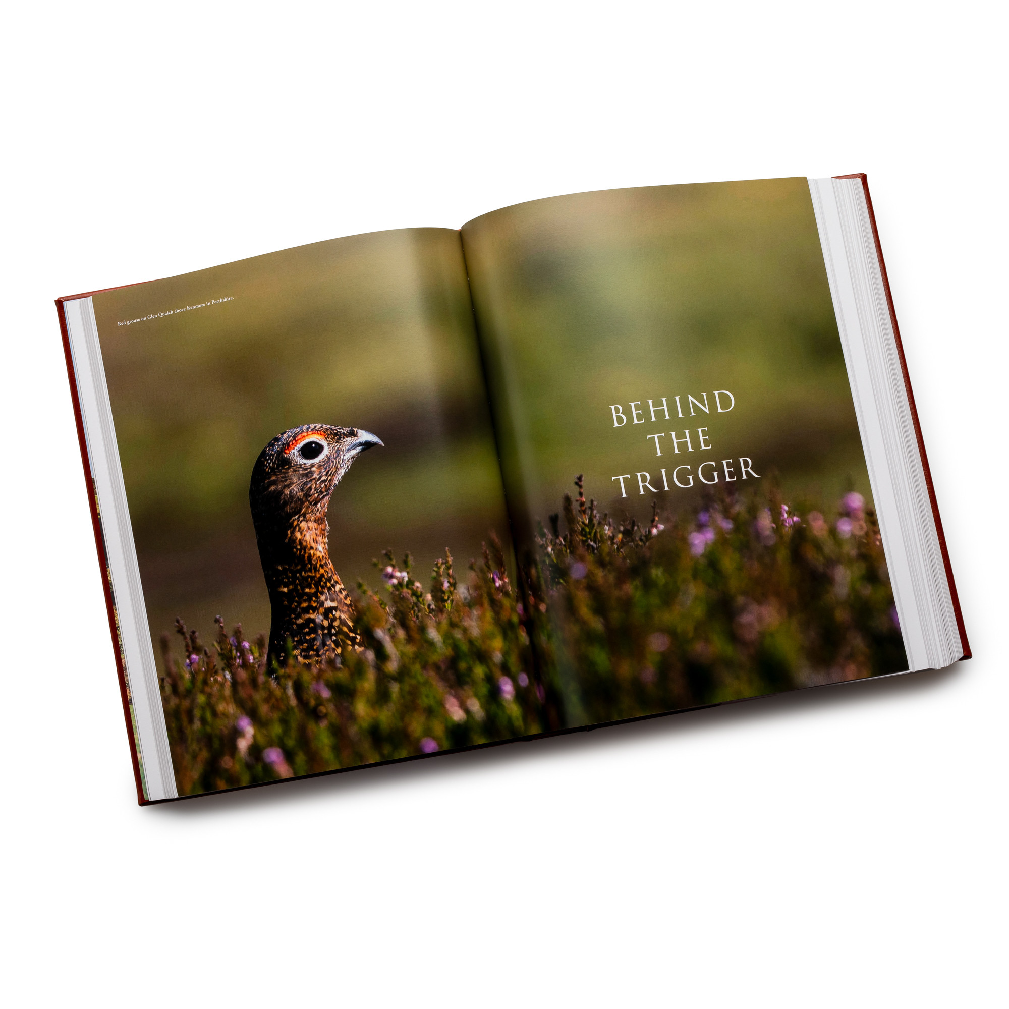 Behind & Beyond The Trigger