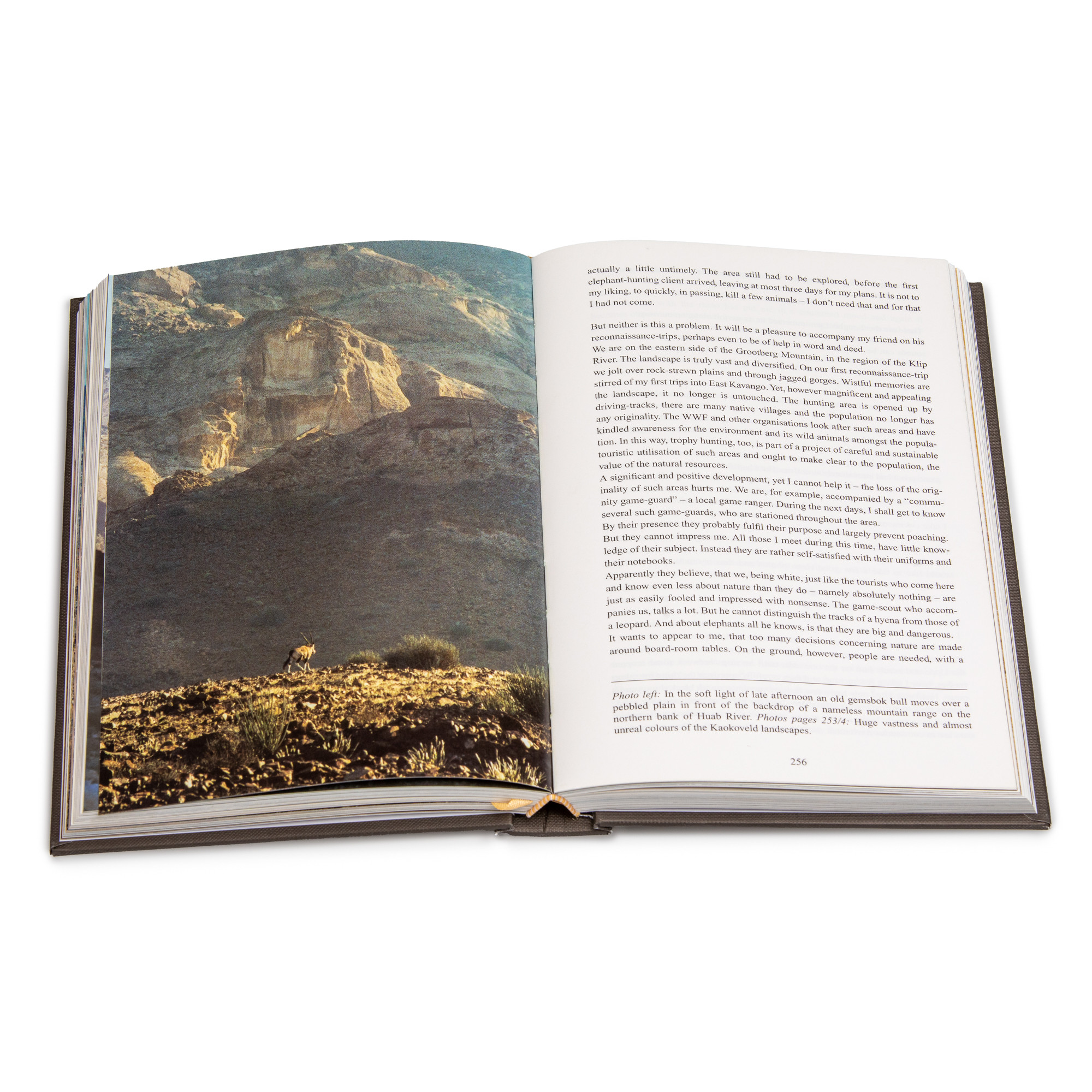 Along the Hunter's Path