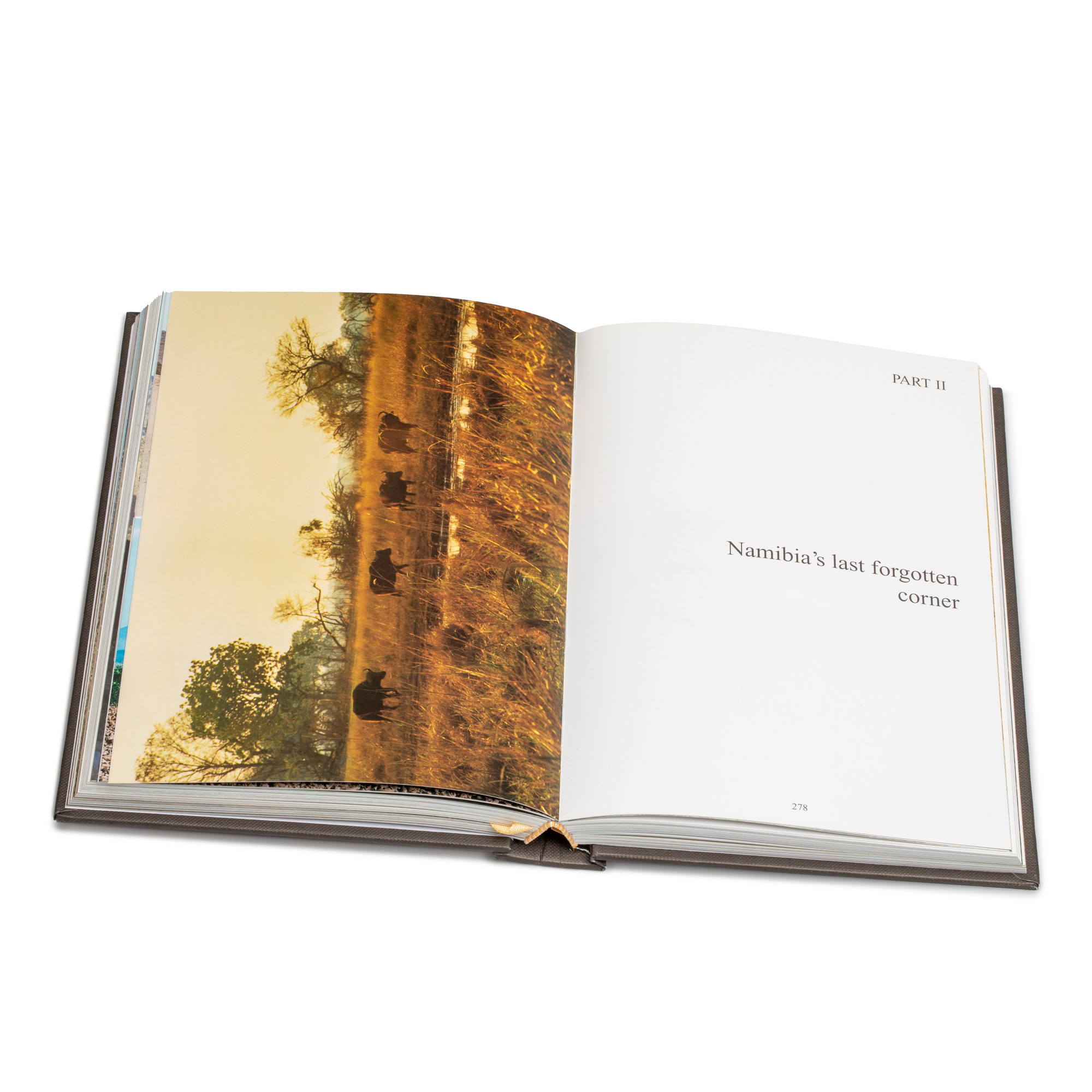 Along the Hunter's Path