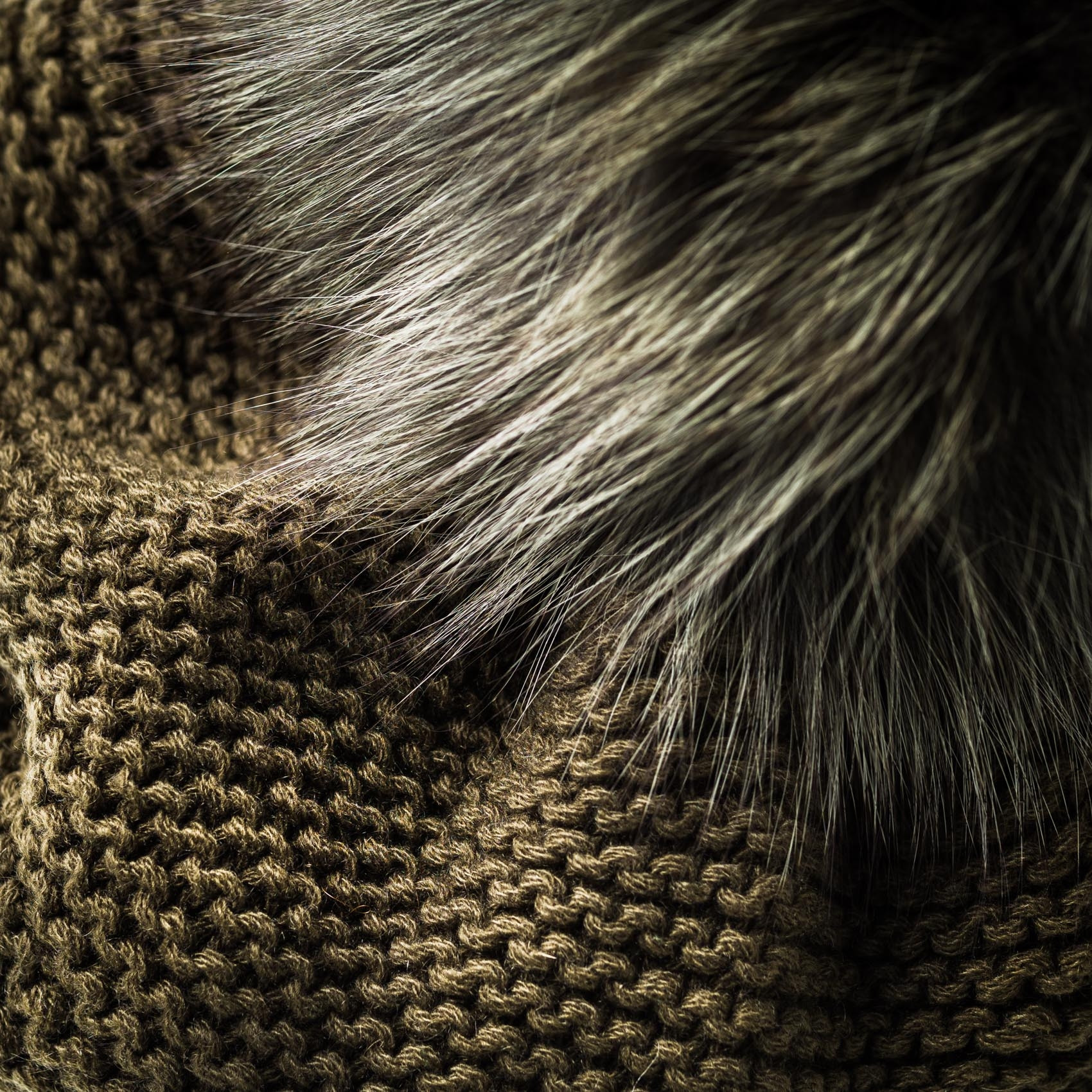 Inverni Cashmere & Fox Fur Knit Hat in Olive
