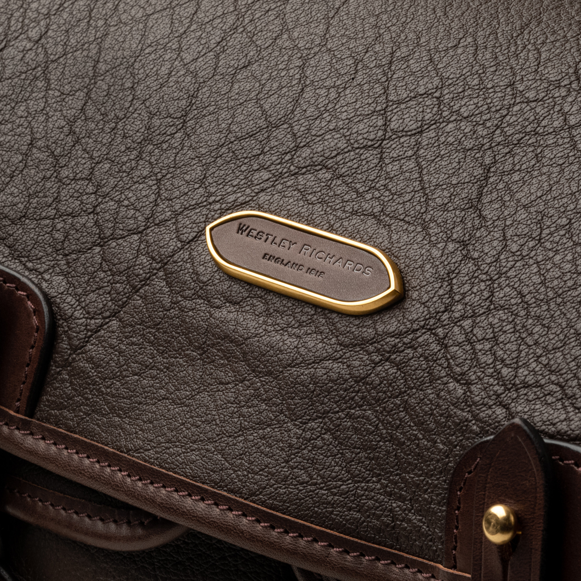 Bishop Hill Bag in Buffalo Hide